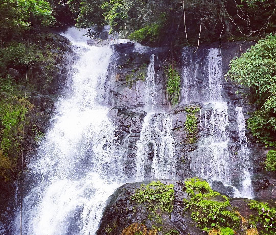 23 Most Popular Waterfalls in Kerala: Best Time to Visit & How to Reach