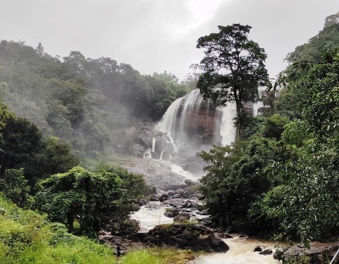 23 Most Popular Waterfalls in Kerala: Best Time to Visit & How to Reach